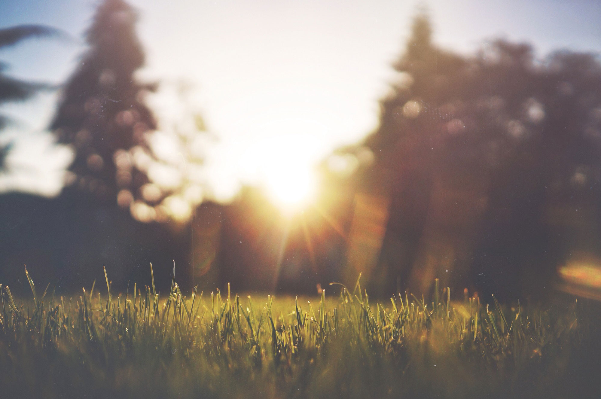 About-Us-Header - SoCal Therapy Center